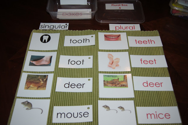 Plural Noun Object Boxes, Montessori Language & Grammar At Home ...