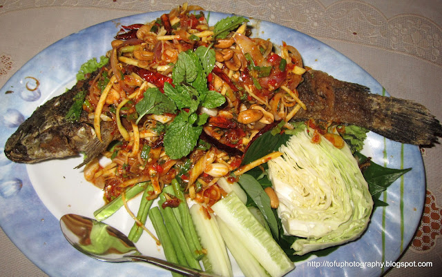 Tofu Photography: Mudfish