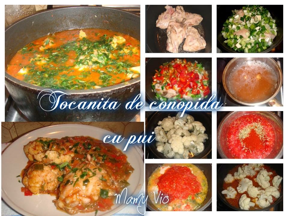 Tocanita de conopida cu pui