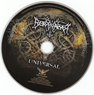 Cries from the Quiet World: Borknagar "Universal"