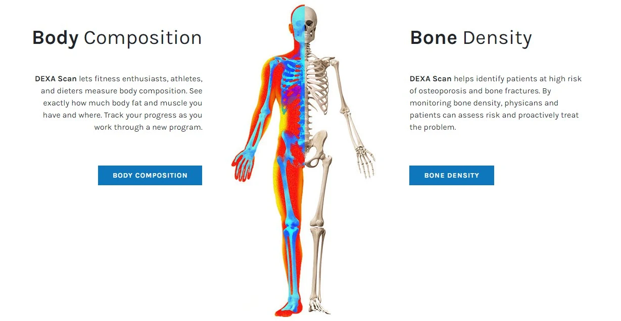 DEXA SCAN: Body Fat, Muscle, and Bone Testing (https://dexascan.com ...