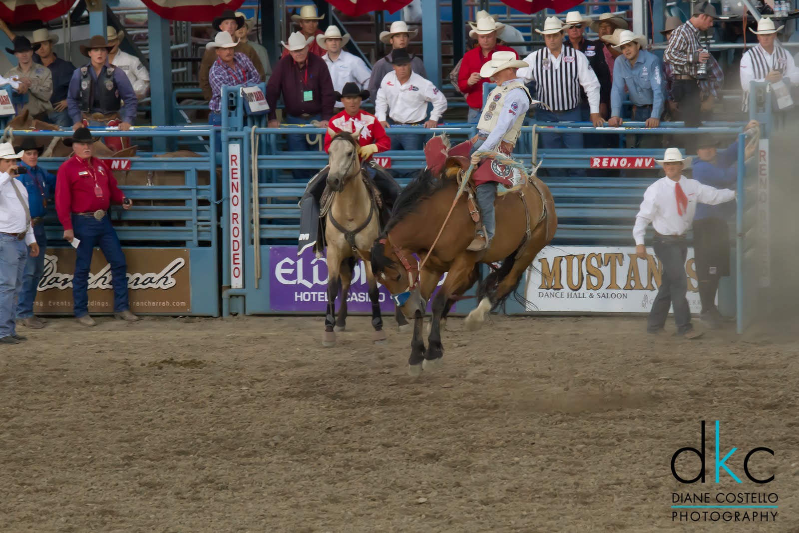 Diane K. Costello Photography: Reno Rodeo 2011