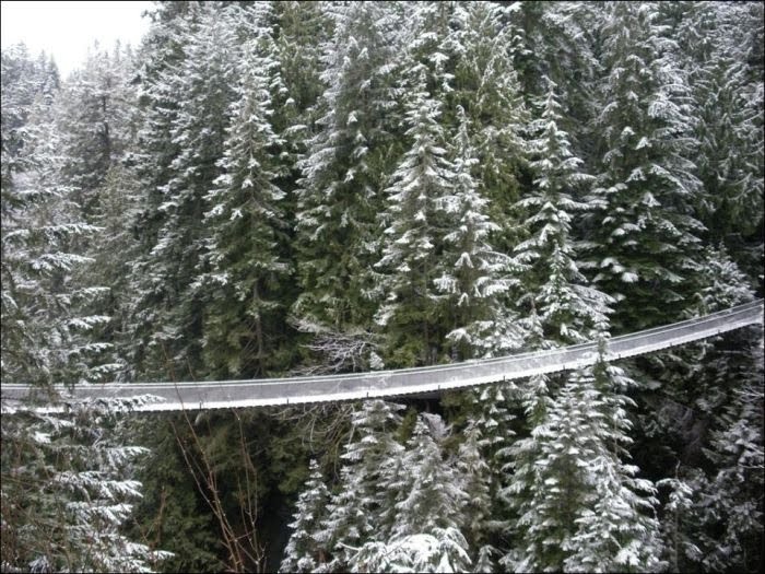 ellergy: THE AMAZING CAPILANO SUSPENSION BRIDGE