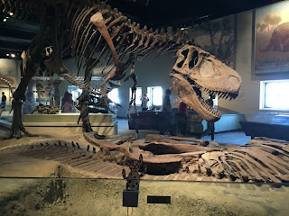 The Adventures Of Bob The Dog: Bob visits the Prehistoric Era at the ...