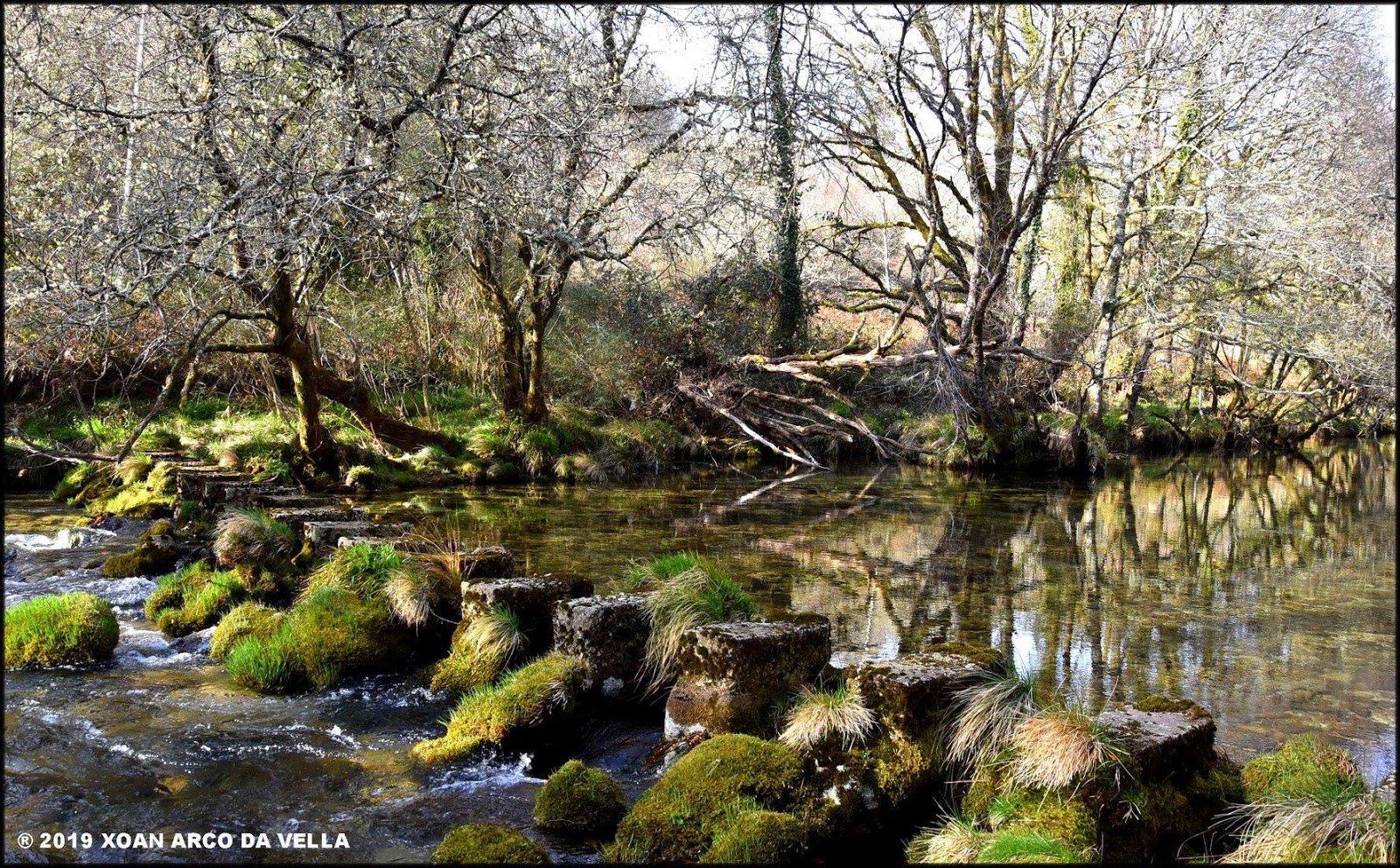 XOAN ARCO DA VELLA: PASOS DO RÍO BERDUGO - O TOXAL - A LAMA