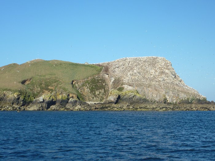 At Killarney's: La réserve des Sept Îles