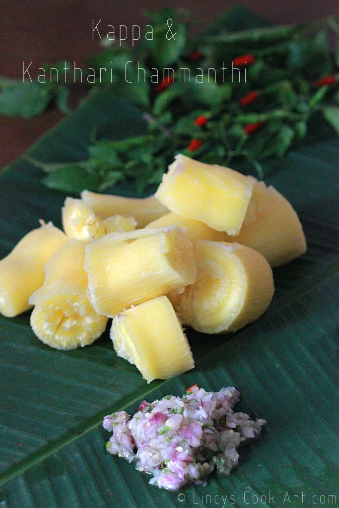 Chenda Kappa with Kanthari Chammanthi ~ Lincy's Cook Art