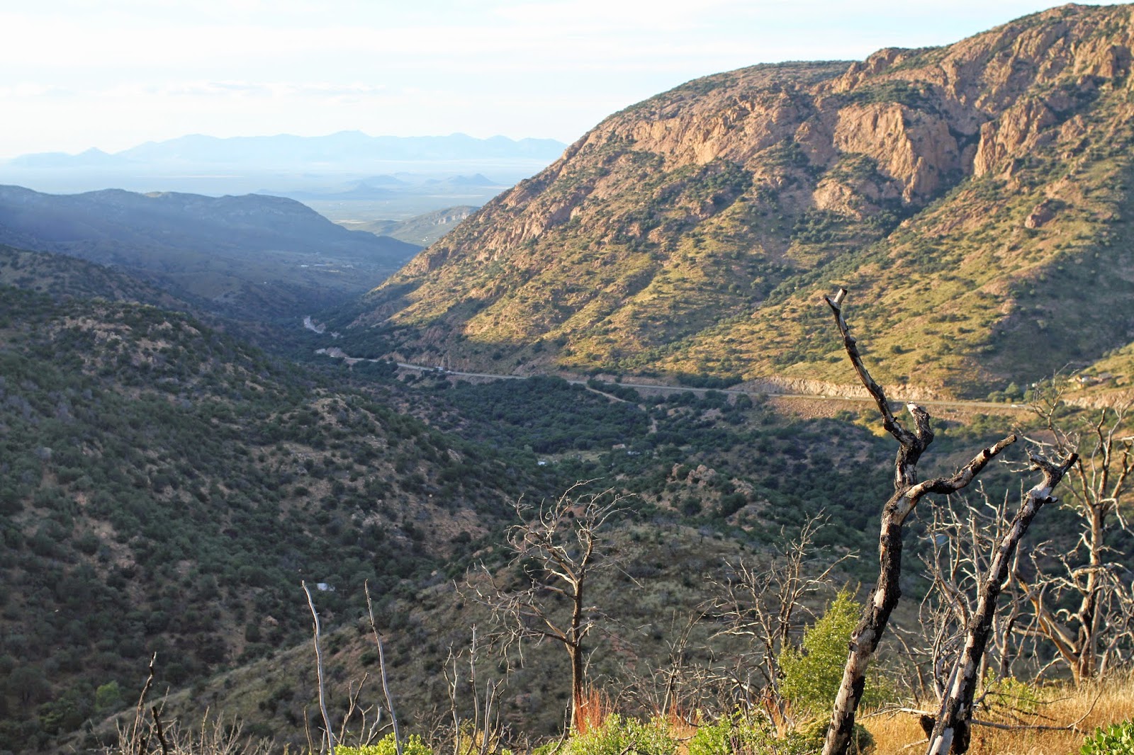 Dog Snot On My Windshield: Ballard Peak, Mule Mountains (AZ)