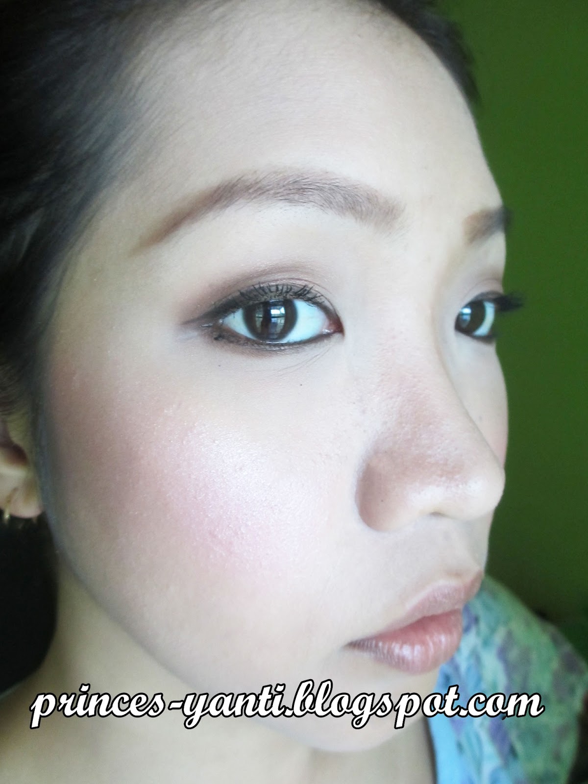 Princess Yanti: BEAUTY SCHOOL: Makeup For Beginners: Baru nak Belajar ...