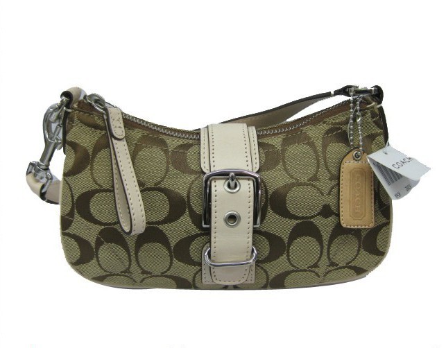 Small coach handbags