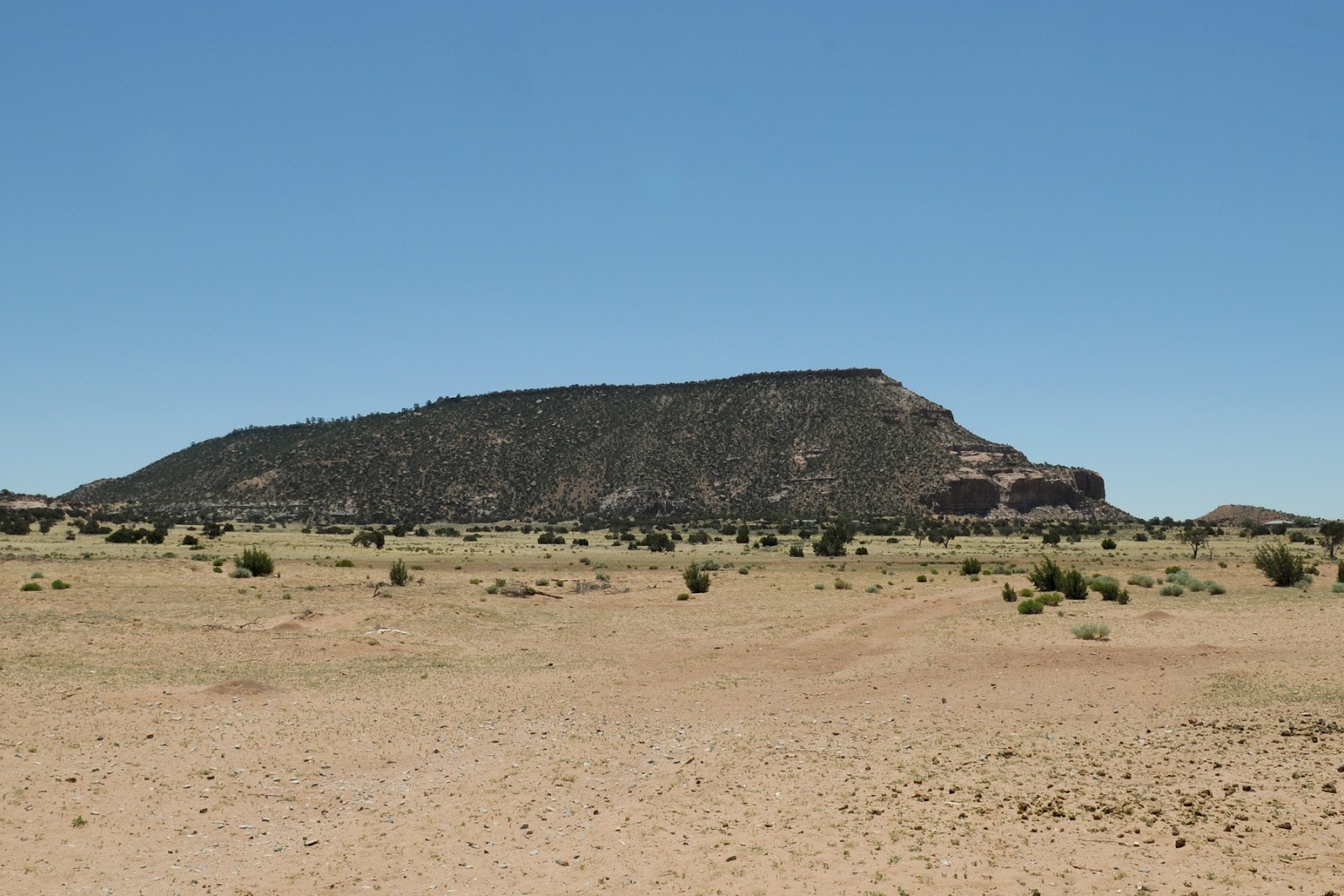 Mass CommuniMania: Day 16: More Interviews