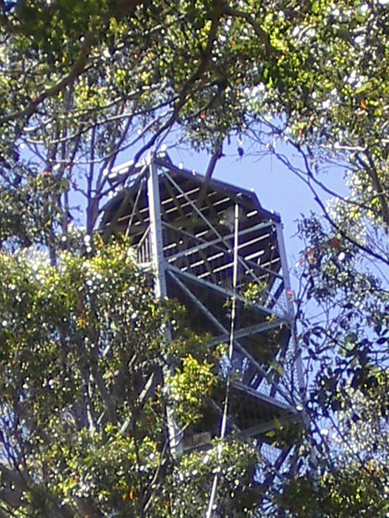 Journey by photograph: Day trip along the Karri Forest Trail