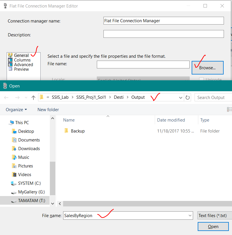 How to Create Multiple Flat File Destinations for each Region Data from Sales Table Source of ...