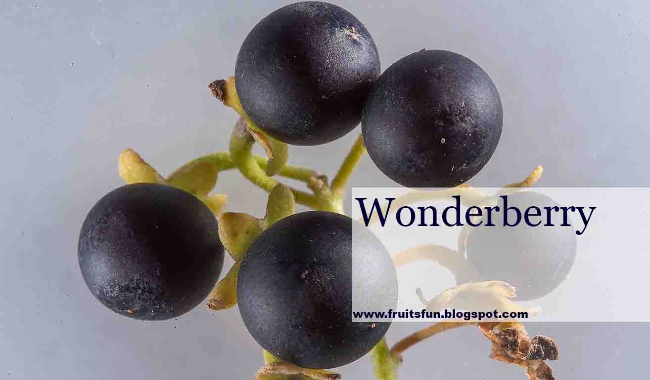 Ever Fresh Fruits: February 2016