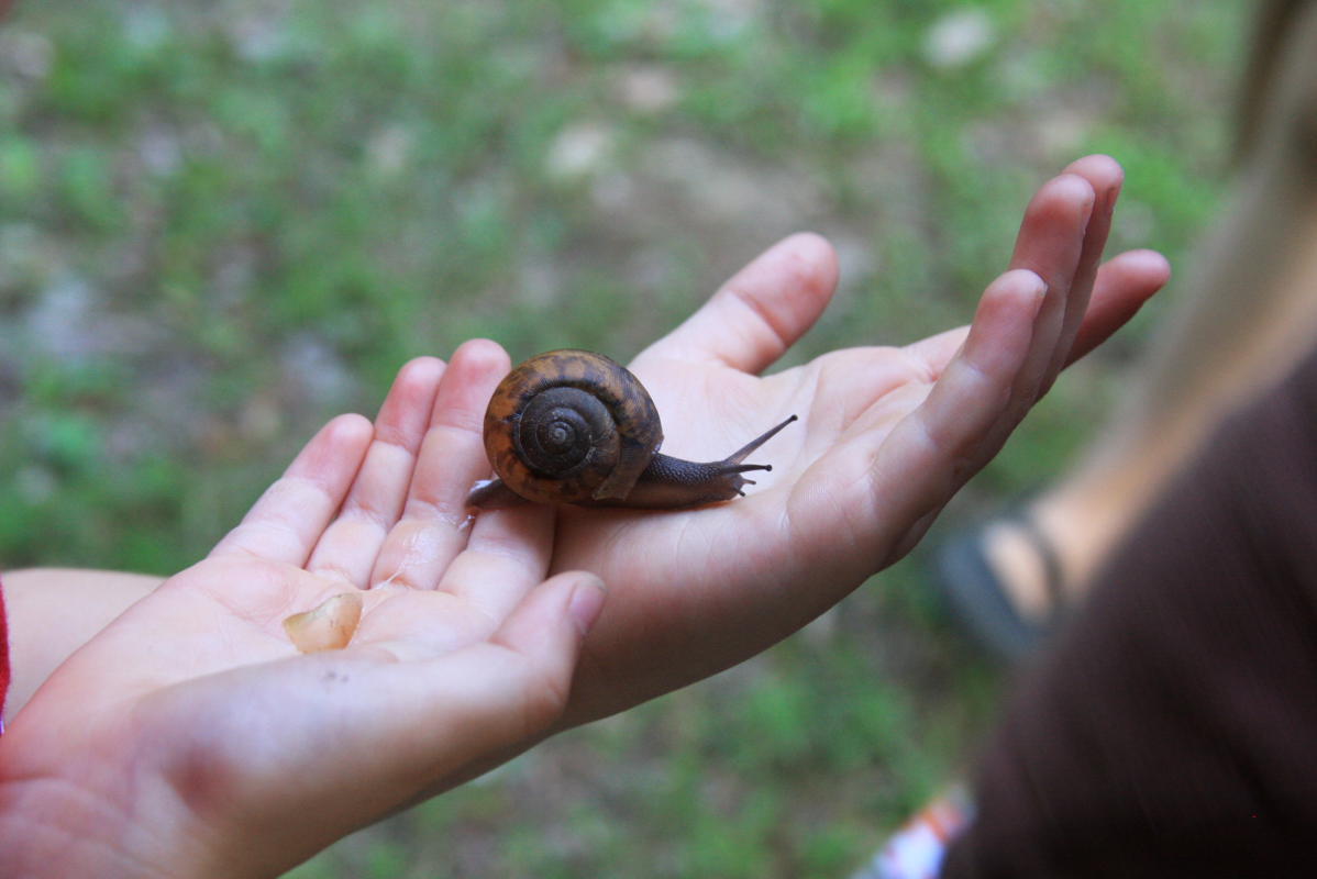 Lueker Munchkins - School & Play: Girl Scout Camp 2013 - Day 1
