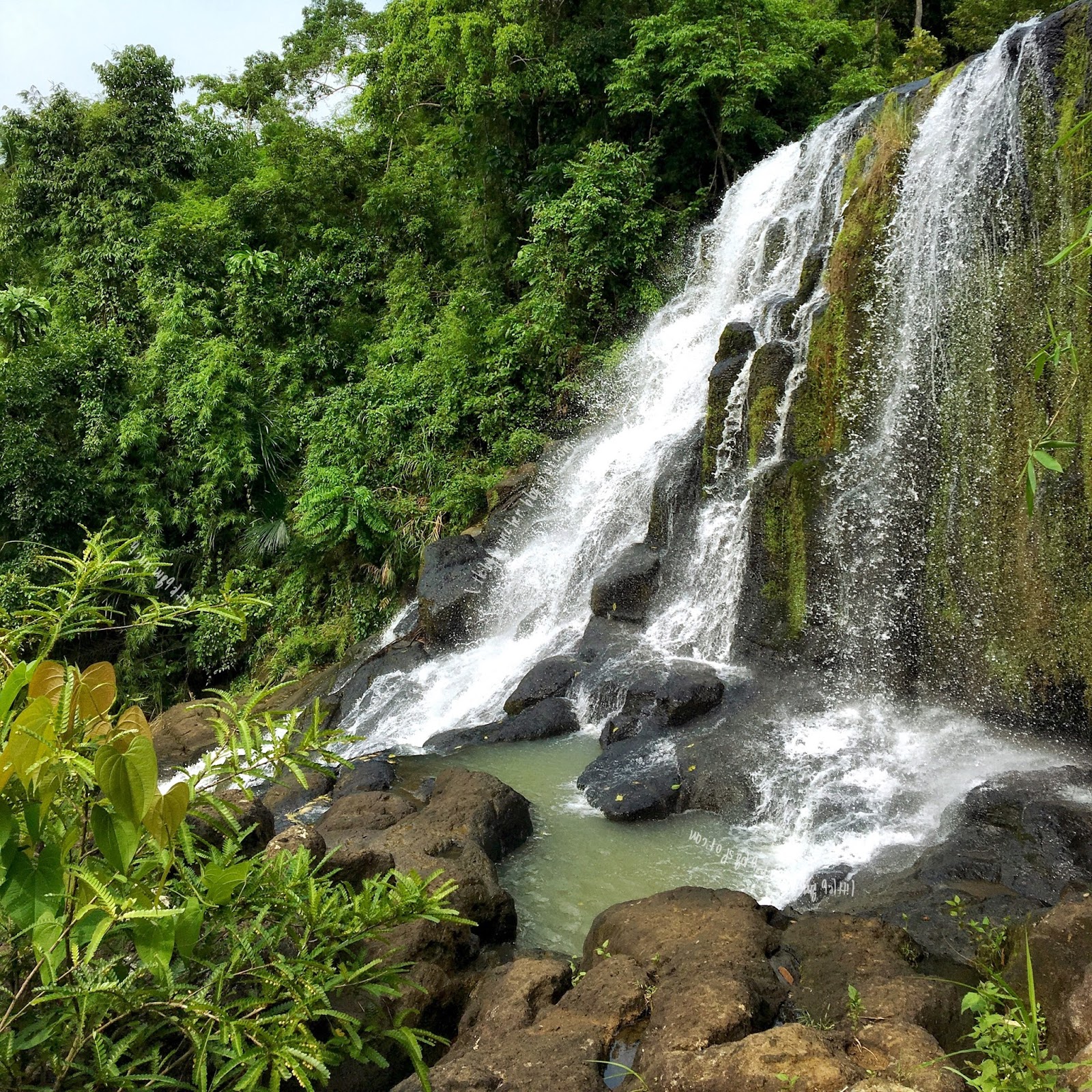 Simple Wonders: Aliw Falls - Gastronomida