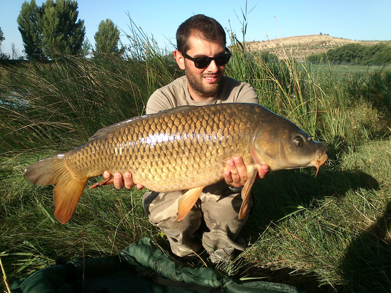 fotos pesca de agua dulce: Carpas