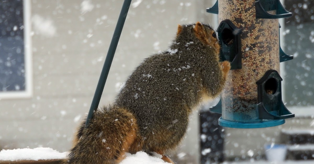 Larry's Creative Zone: Snow be Gone......