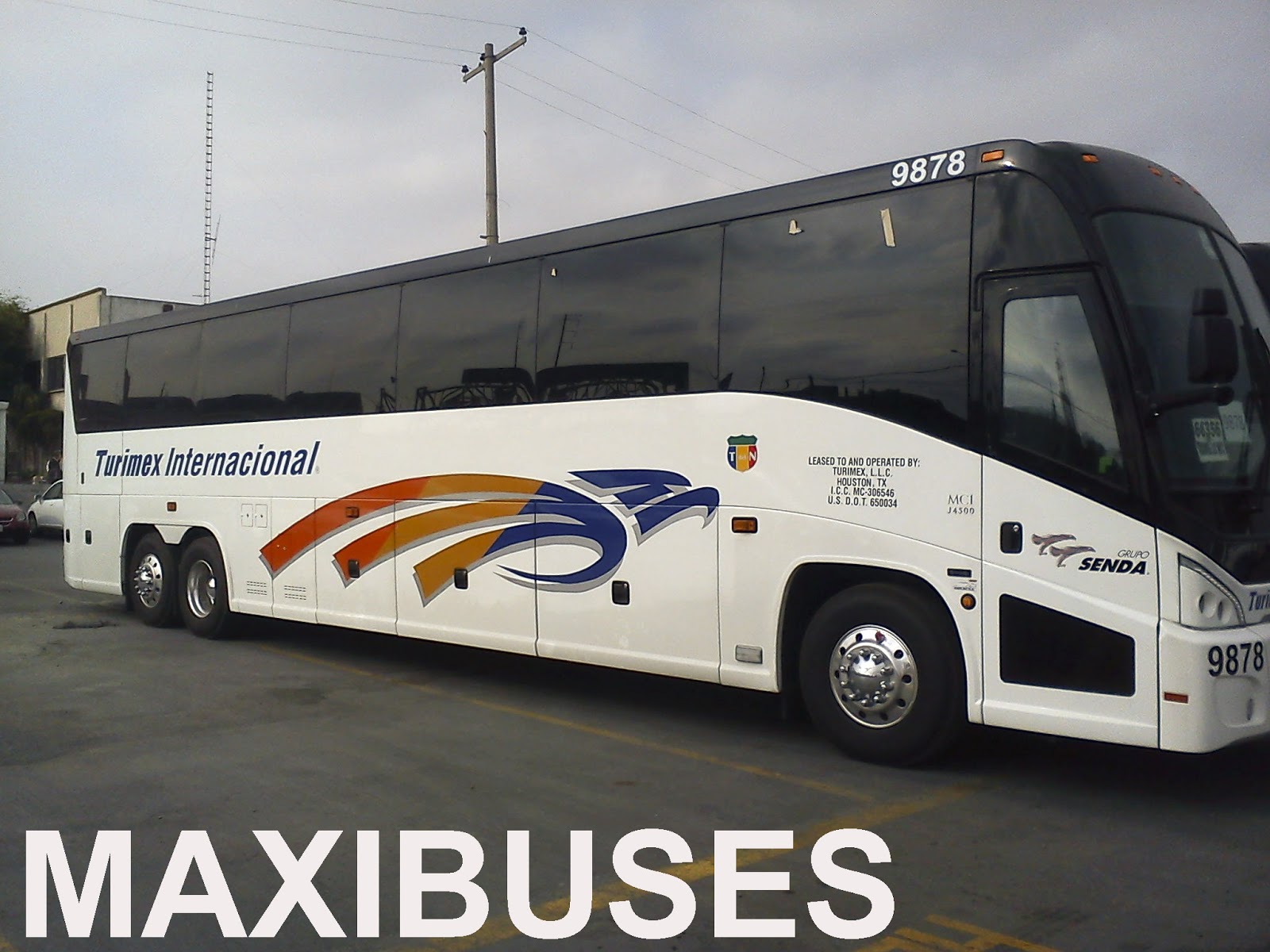 MAXIBUSES: TURIMEX INTERNACIONAL - NUEVAS UNIDADES