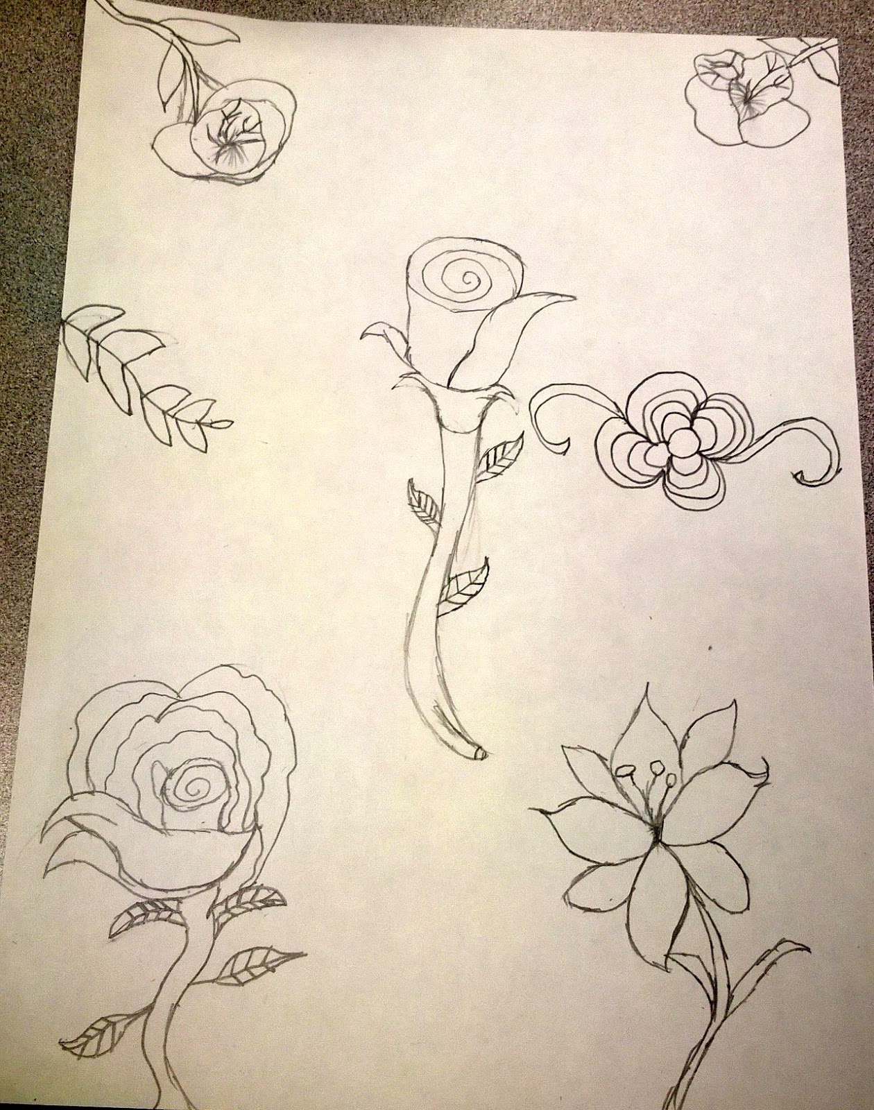 Angie Villa Art & Education: Grade 5 Flower Drawings