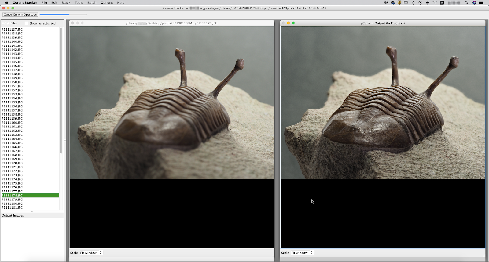 焦点合成テクニック：OLYMPUS OM-D E-M5 Mark II を使う（Zerene Stacker による合成手順）