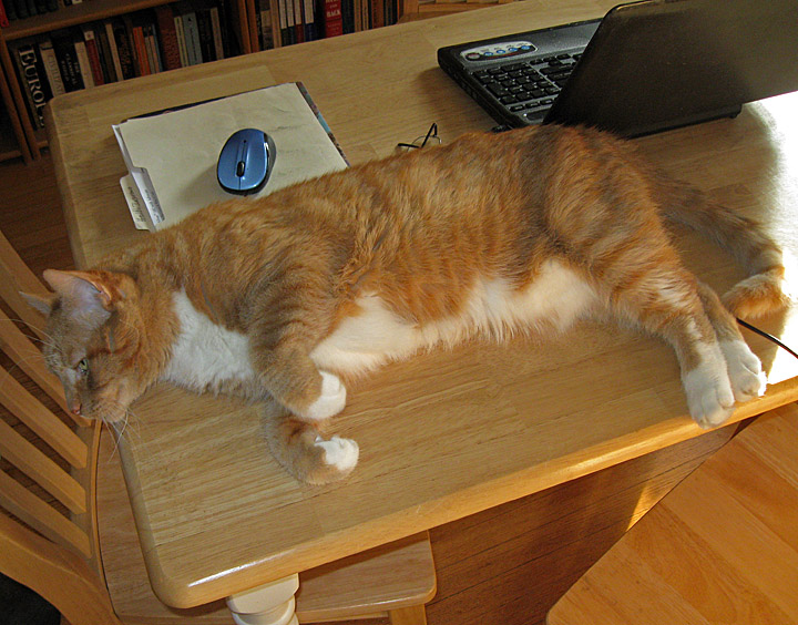 Project Minima: Deep Velvet & The 3 Tops