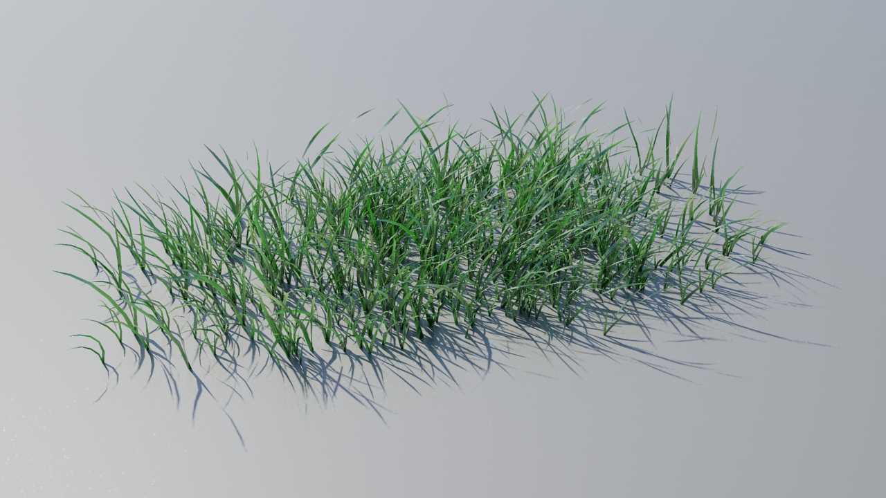Robert Poole: Realistic Grass Test