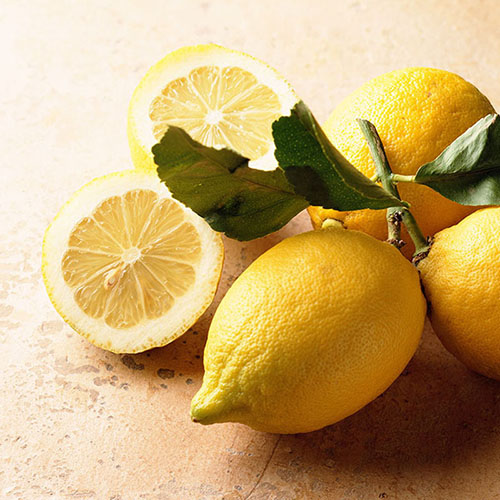 Limón (Citrus limón) - Frutas del mundo