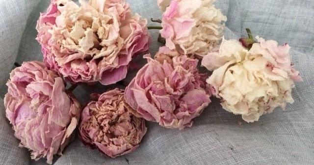 Handmade Happiness : How to dry peonies