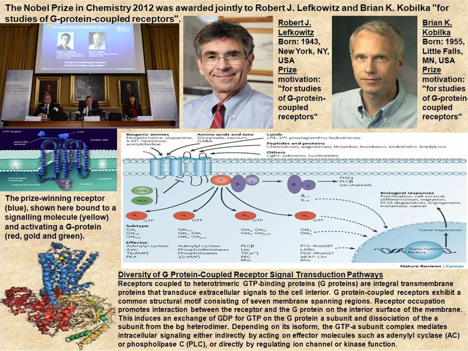 Manash (Subhaditya Edusoft): Nobel Prize 2012 : King of Every Honour ...