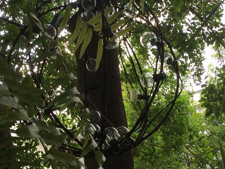 The Uptown Acorn: Let There Be (more) Light