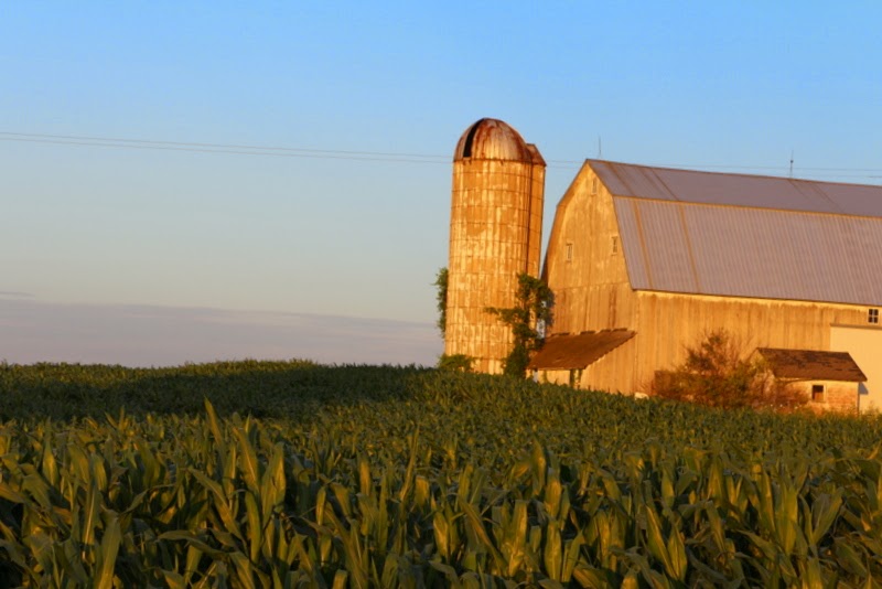 living from glory to glory: Barns And Their Beauty...