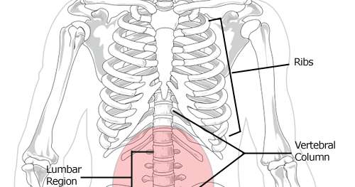 Five Practical Tips to Cope with Back Pain