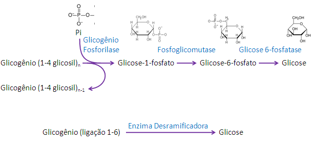 Bio Química UFAL: Aula - 05