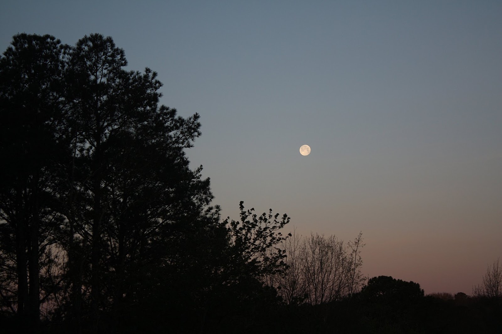 The Full Moon Sets at Sunrise