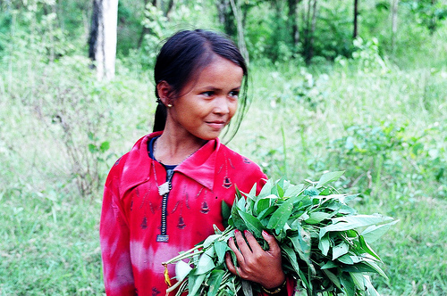 Khmer Vegetable Khmer Girl And Vegetable khmer-vegetable-khmer-girl-and-vegetable
