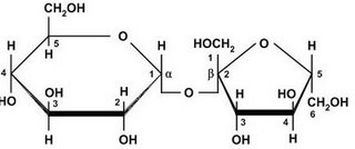 Esok Nanti ...: Karakteristik Gula Tebu