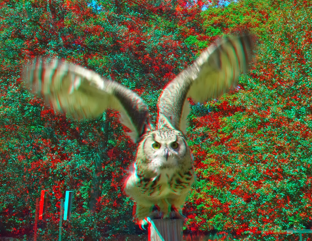 10 Amazing Anaglyph 3D Images - Set 1 ~ ab solut everdict blogspot