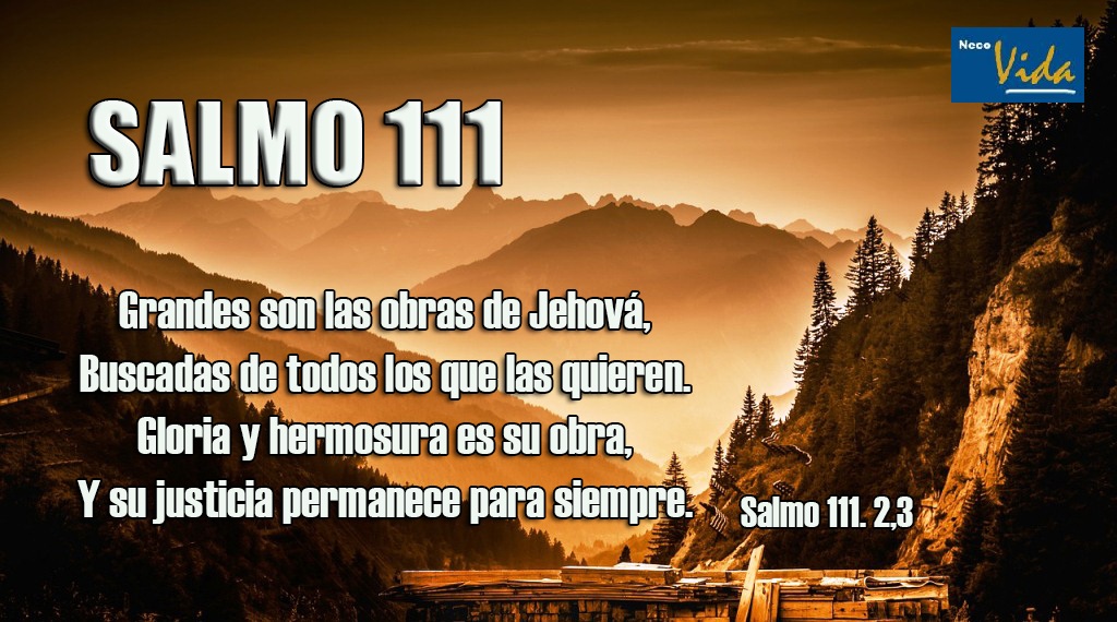 Neco Vida: Leyendo... Salmo 111