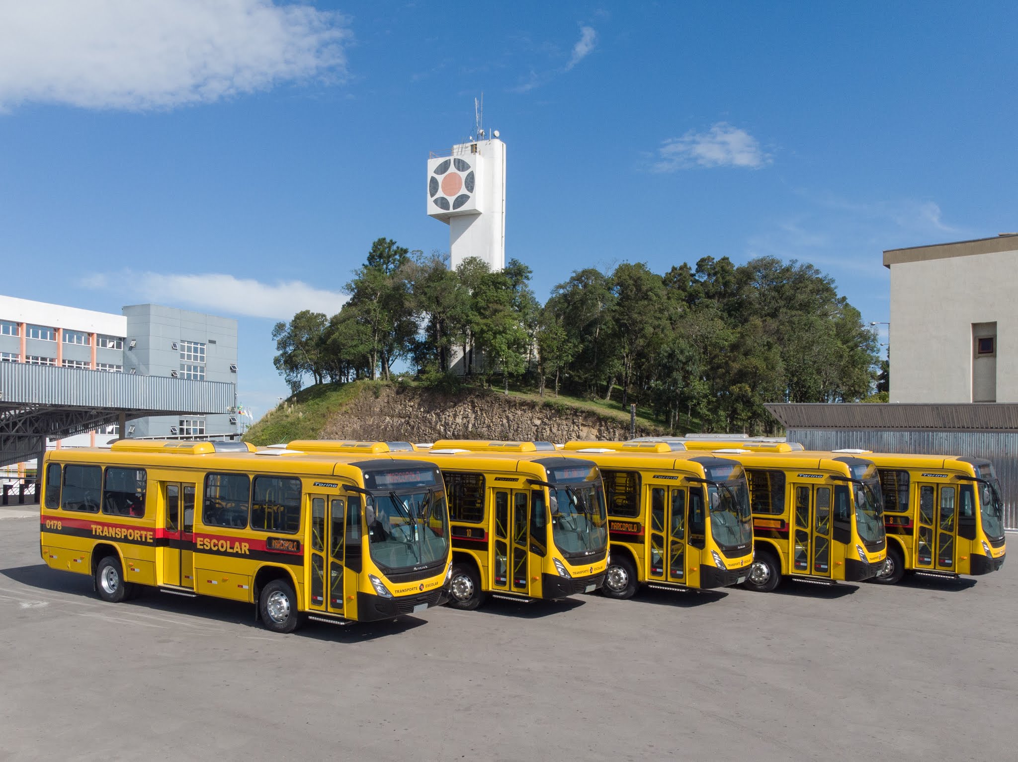 Marcopolo entrega 500 buses para el programa de movilidad escolar en Angola