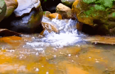 View Animated Gif Of Babling Brook Pictures - Edu file guru