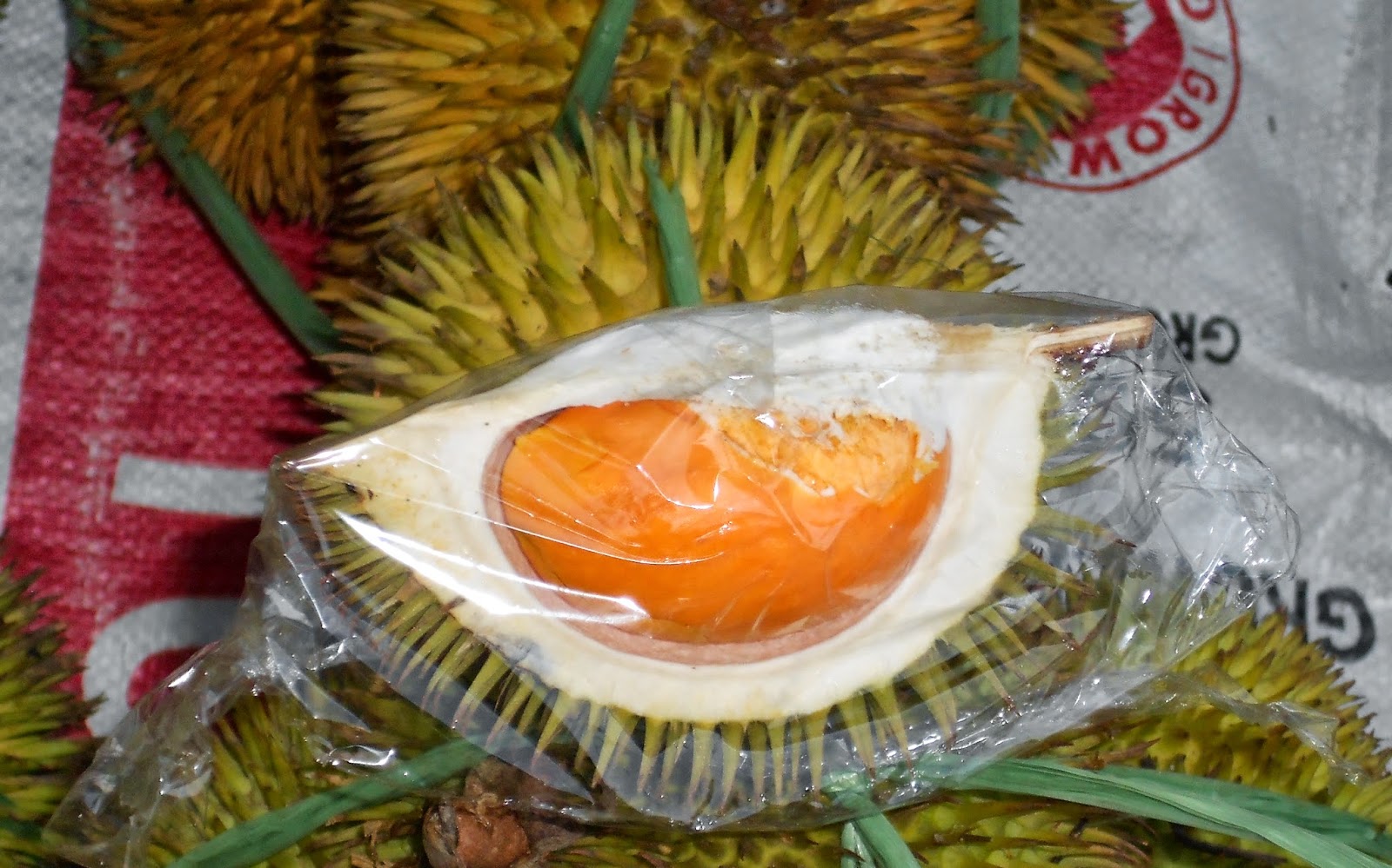 FREELITTLEBRAIN: Indigenous Durian in Sarawak