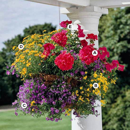 New Home Interior Design: Create Stunning Hanging Baskets