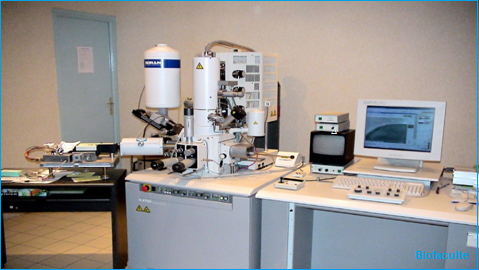 Les différents types des microscopes - Optique, Photonique ...