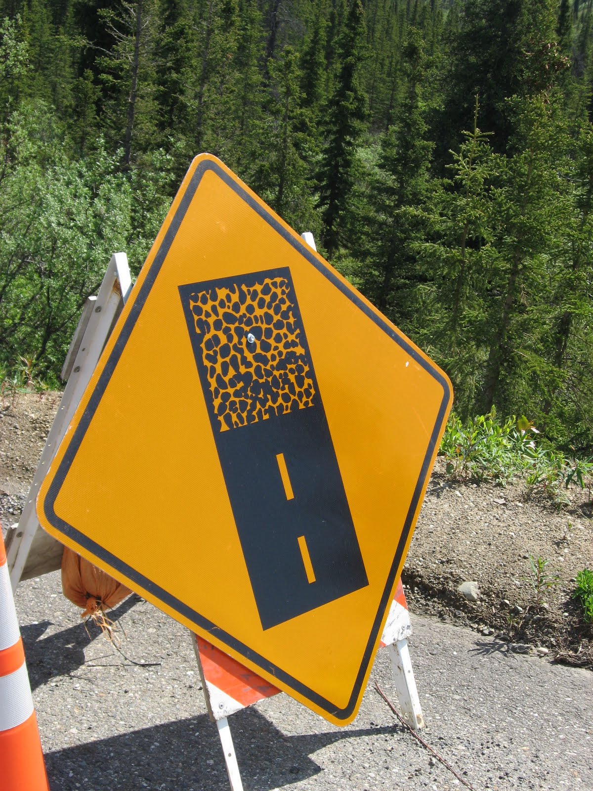 Severance Travels: 4th Alaskan Stop - Denali