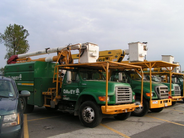 Davey Tree Service | Tree Service