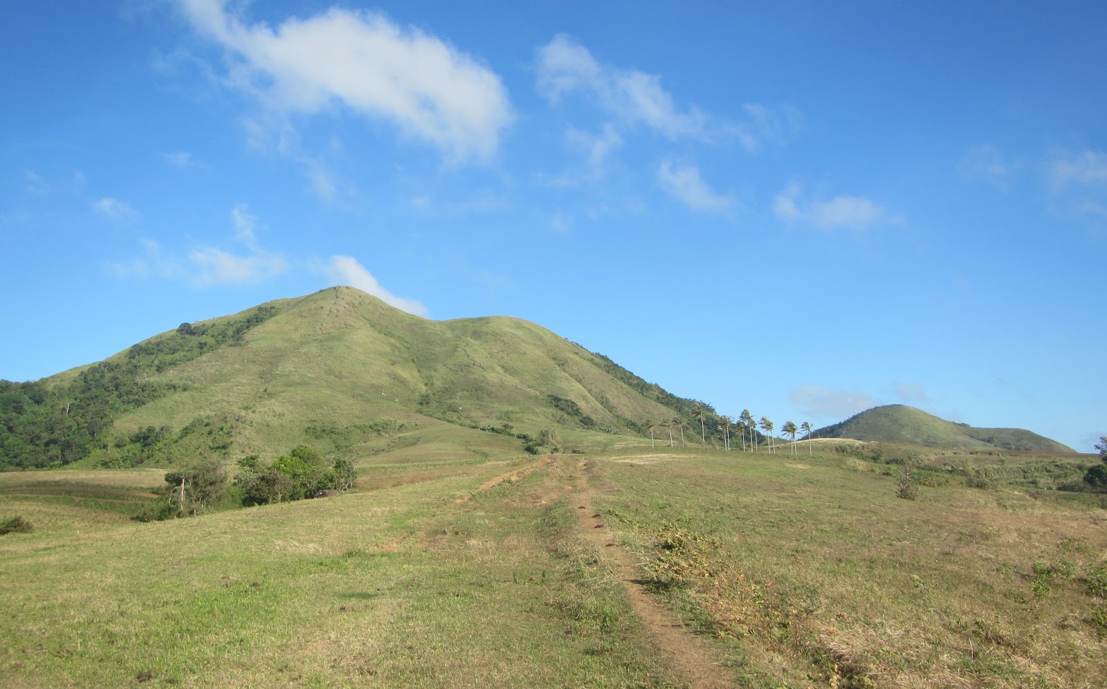 LEXICAL CROWN: A DAY HIKE IN MOUNT TALAMITAM FOR ONLY P493