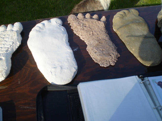 Sasquatch Tracks: Pictures of Sasquatch Tracks and Casts
