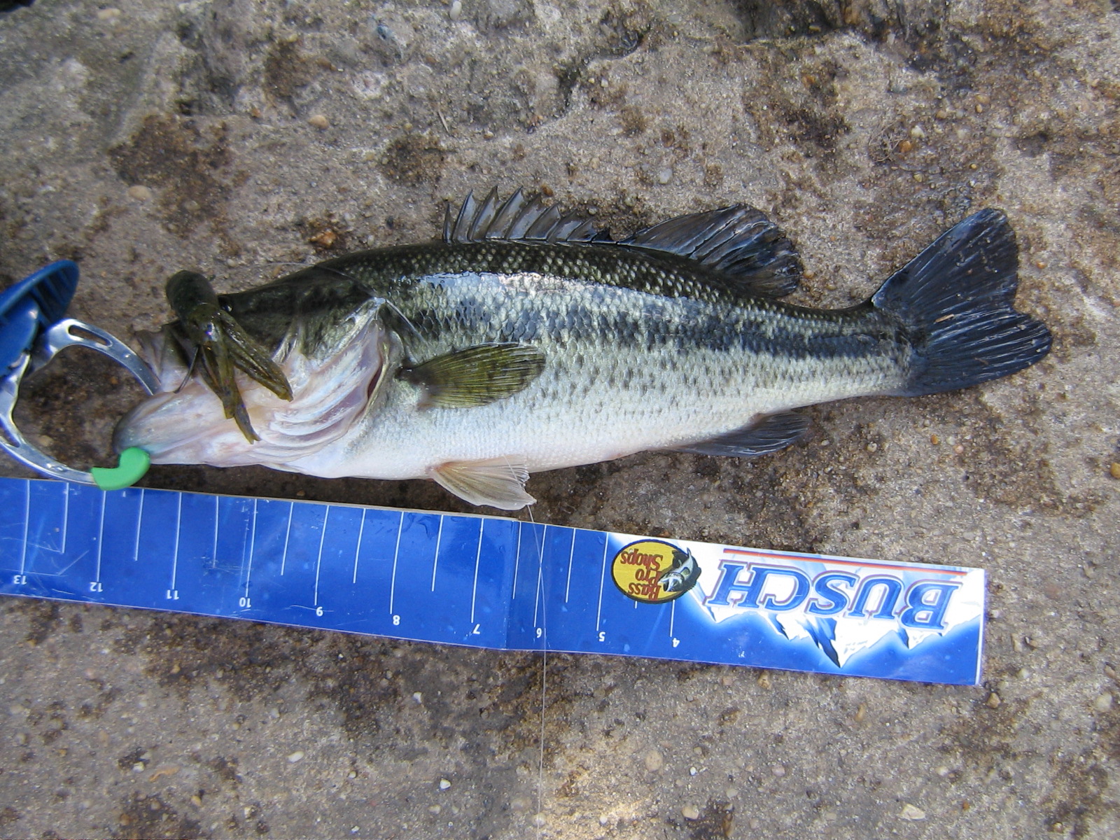 Extreme Philly Fishing: Fishing at Haddon Lake in NJ