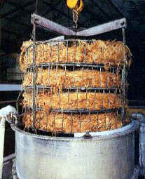 Indian Jute: Jute - Jute Cultivation and Fibre Extraction process